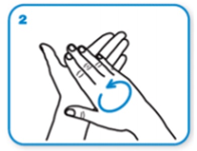 Postopek pravilnega umivanja rok