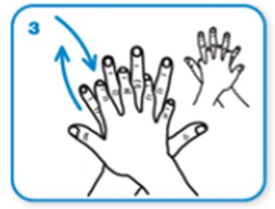Postopek pravilnega umivanja rok