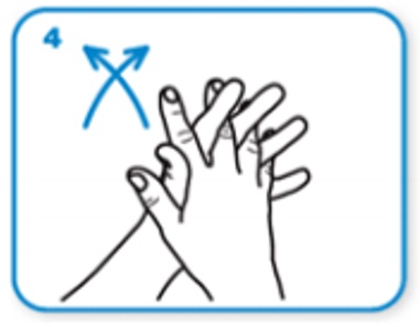 Postopek pravilnega umivanja rok