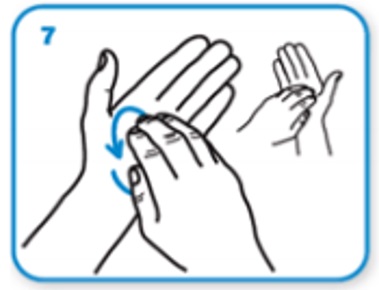 Postopek pravilnega umivanja rok